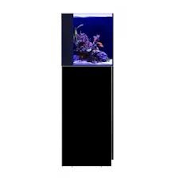 Red Sea Desktop Cube Kombi Aquarium mit Unterschrank kaufen