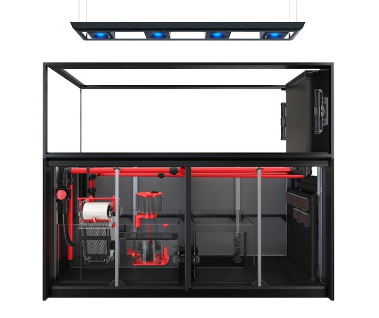 Red Sea REEFER™ MAX Peninsula S-950 G2+ System online kaufen
